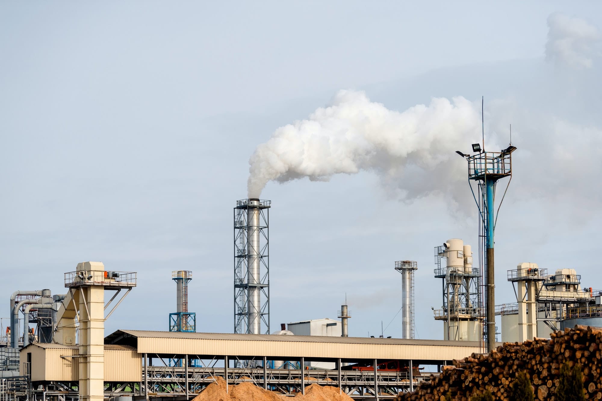 Understanding Carbon Emissions - Denizon